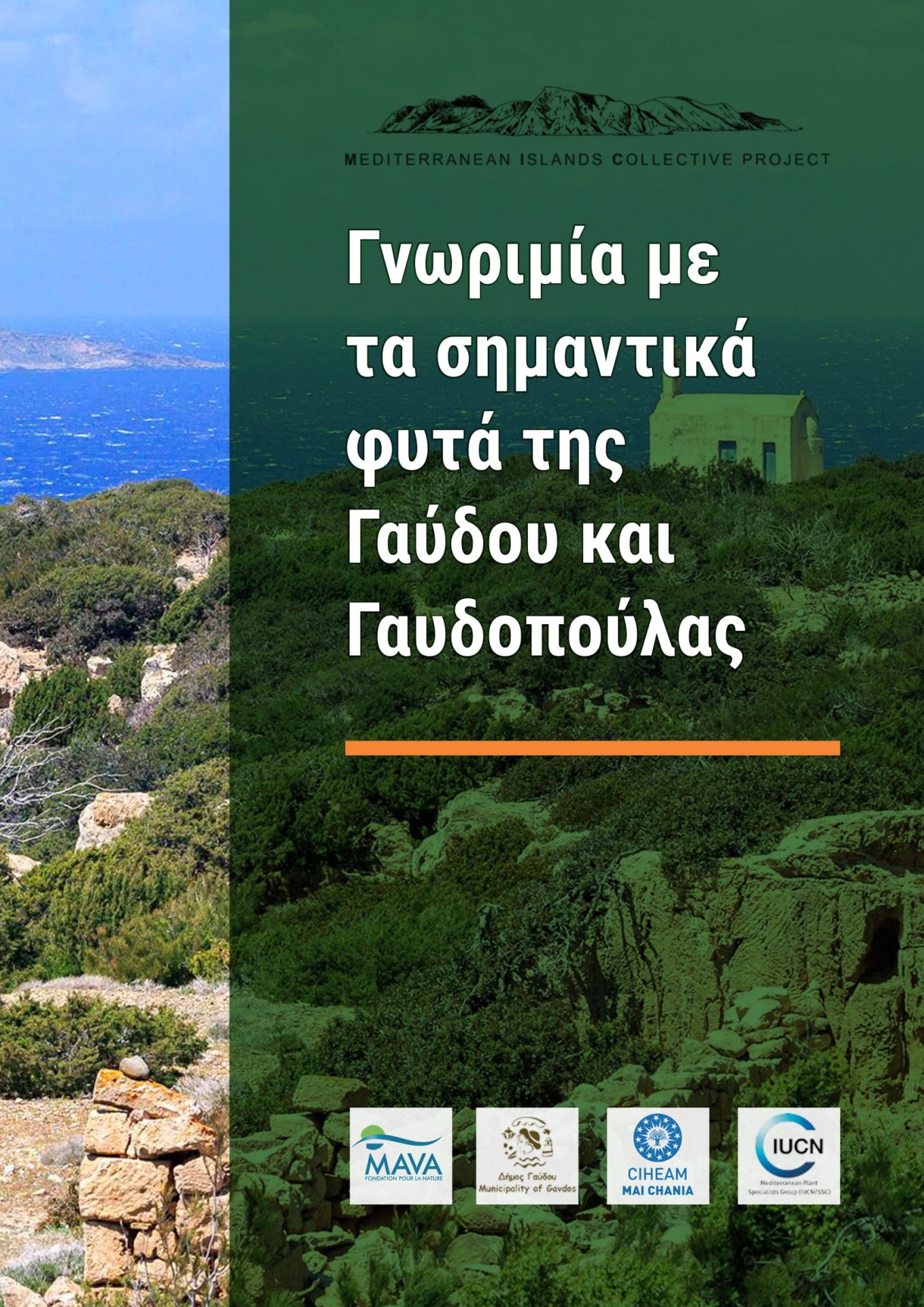 Γνωριμία με τα σημαντικά φυτά της Γαύδου και Γαυδοπούλας – Δήμος Γαύδου